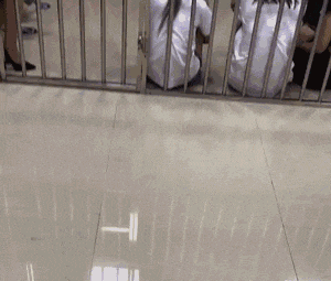 搞笑GIF趣图：这么多的美女在里面，到底是犯了什么事啊？ - 360娱乐，你开心就好