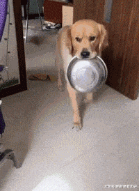 爆笑GIF: 哥啊！亏你还记得我生日，看到真相后秒变脸！ - 360娱乐，你开心就好